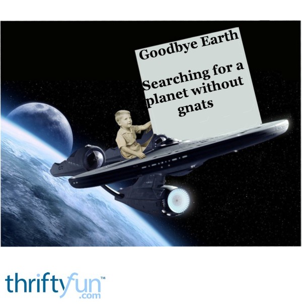 Dealing With Gnats | ThriftyFun