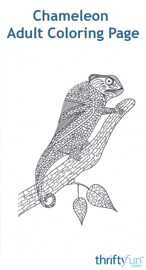 Chameleon Coloring Page for Adults | ThriftyFun