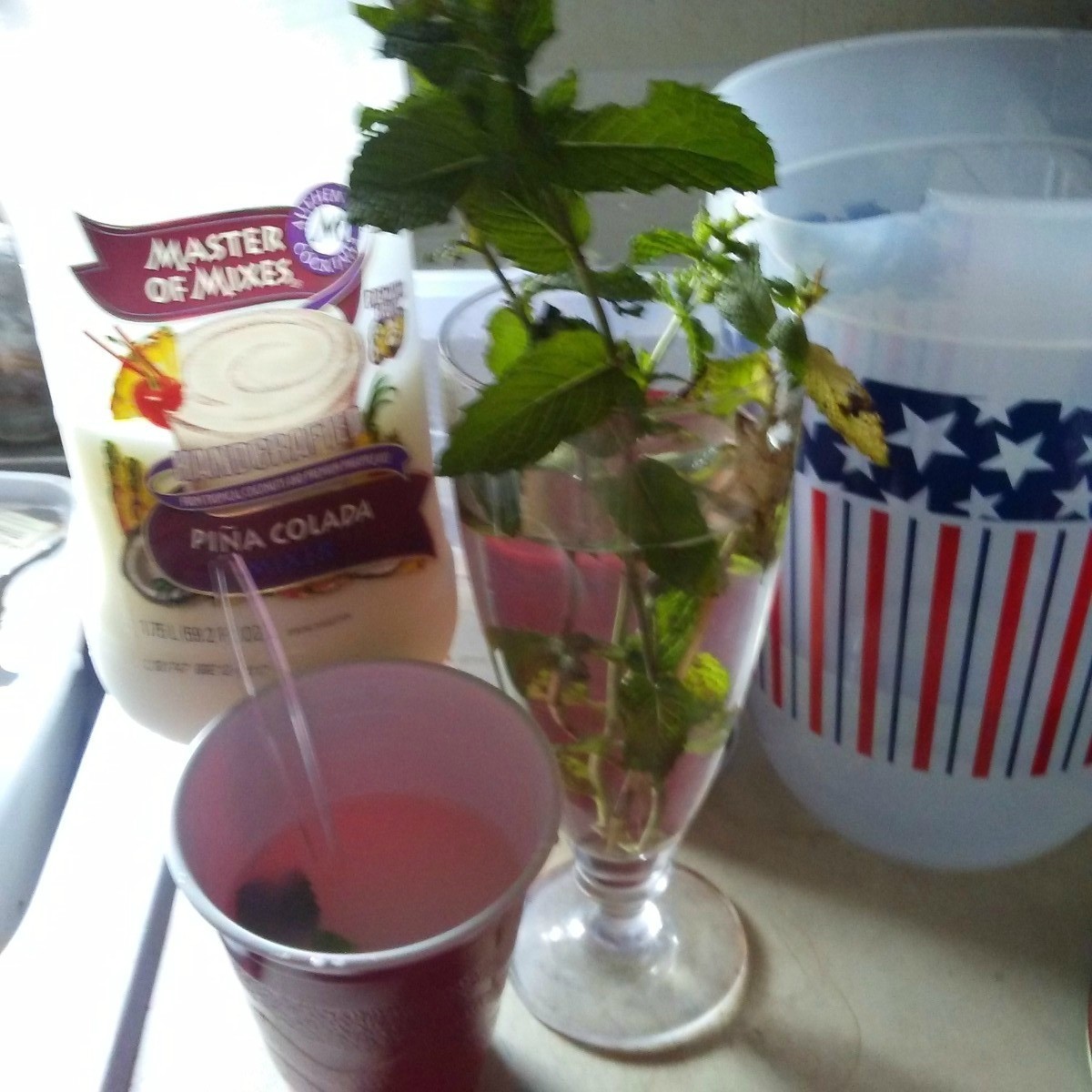 Piña Colada and Mint Water | ThriftyFun