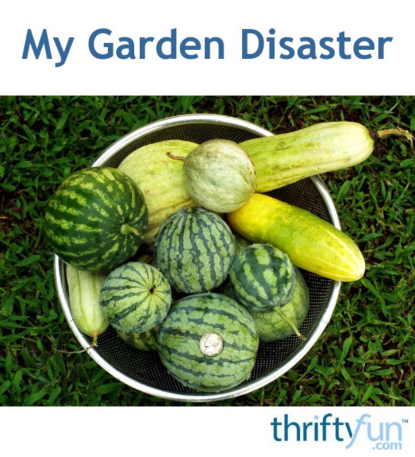 My Garden Disaster | ThriftyFun