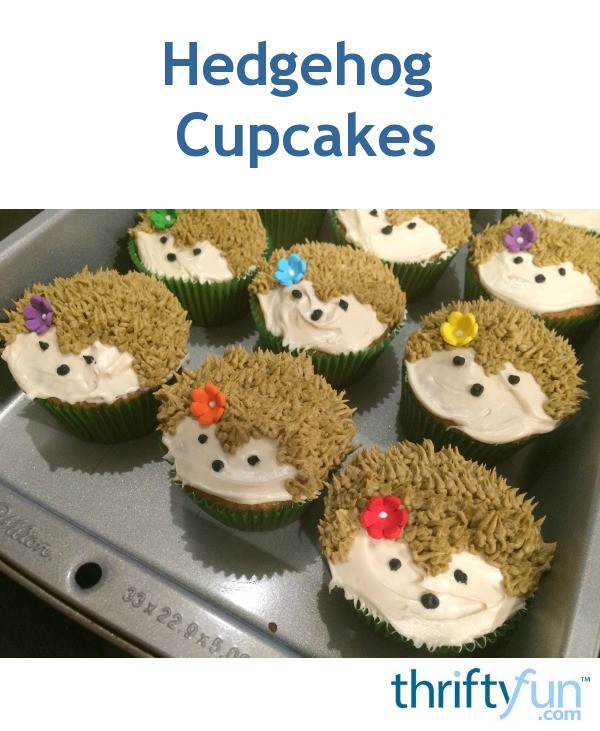 Hedgehog Cupcakes | ThriftyFun