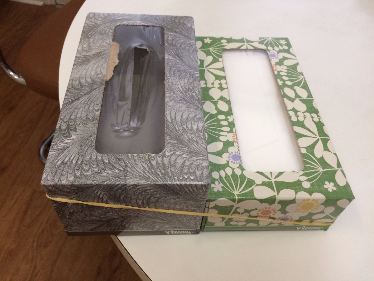Using An Empty Tissue Box As Trash Can ThriftyFun