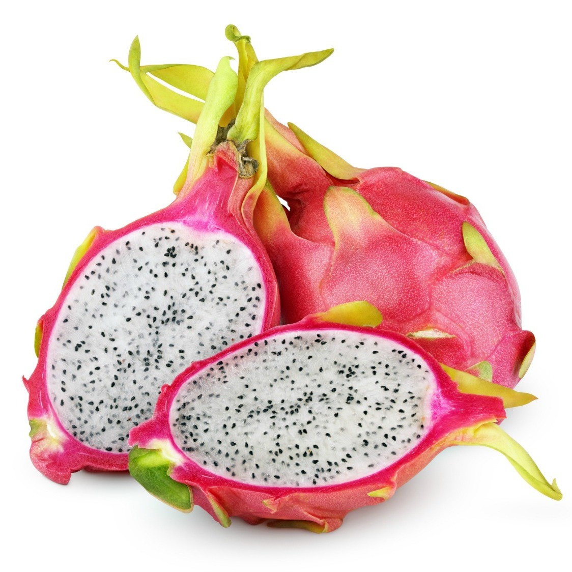 Growing Dragon Fruit ThriftyFun