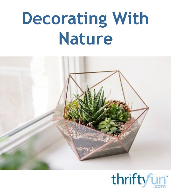 Decorating With Nature | ThriftyFun