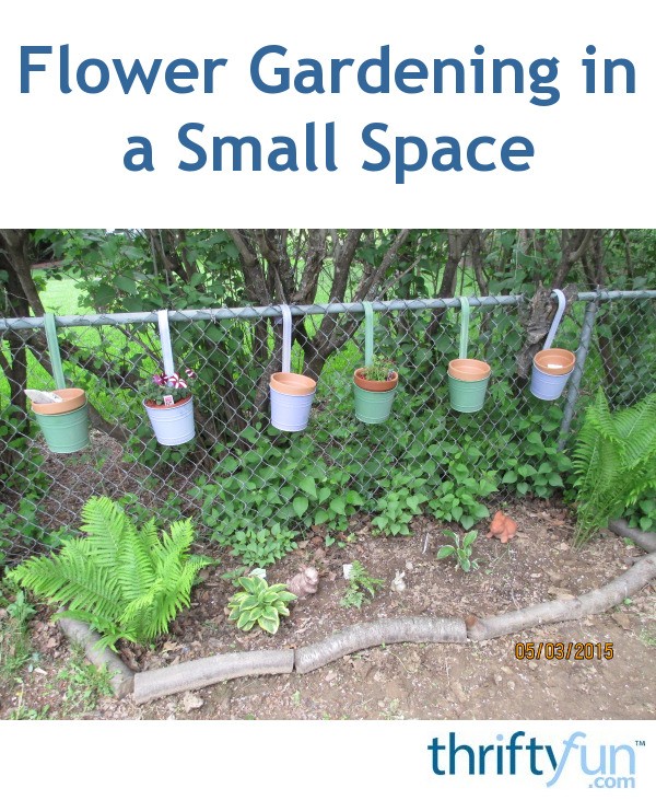 Flower Gardening in a Small Space | ThriftyFun