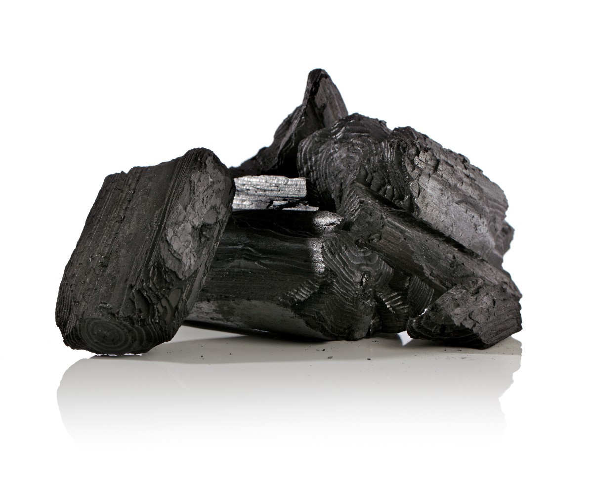 Charcoal To Absorb Foul Odors ThriftyFun charcoal-to-absorb-foul-odors-thriftyfun