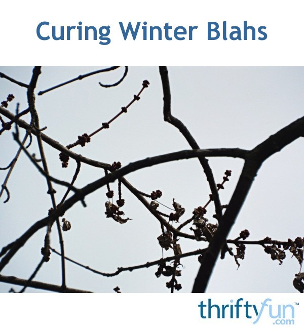 Curing Winter Blahs | ThriftyFun