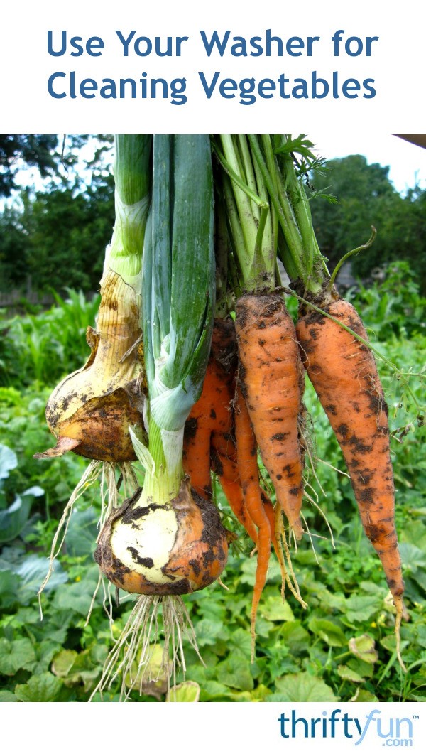 Use Your Washer for Cleaning Vegetables | ThriftyFun