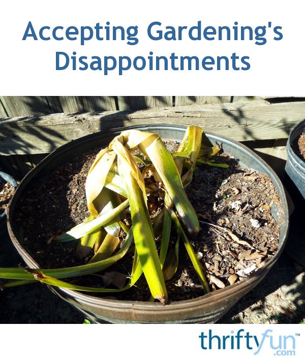 Accepting Gardening's Disappointments | ThriftyFun