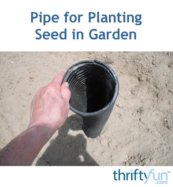 Pipe for Planting Seed in Garden | ThriftyFun