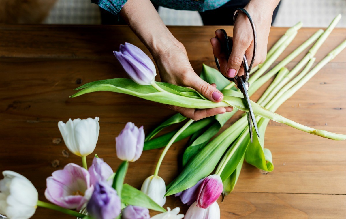 Making Your Cut Flowers Last Longer ThriftyFun