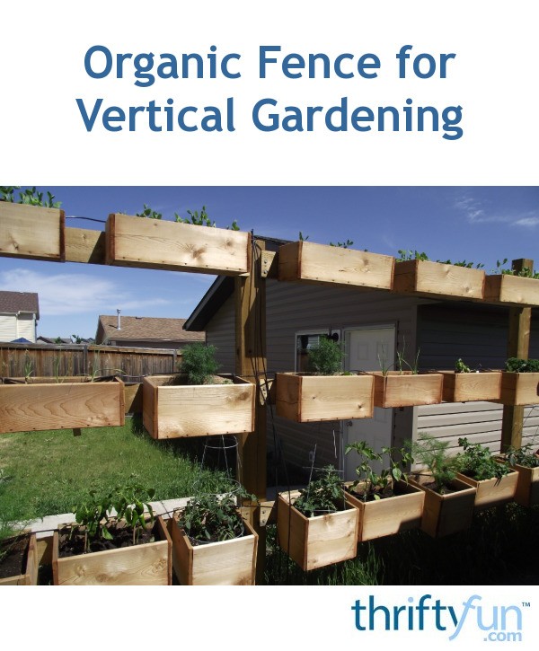Organic Fence for Vertical Gardening | ThriftyFun