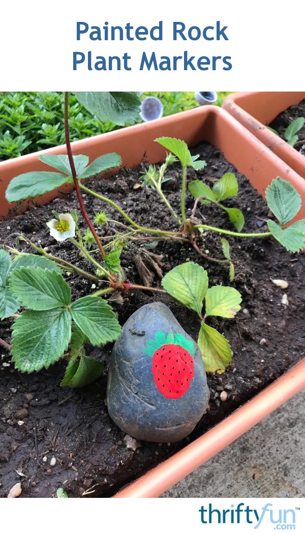 Painted Rock Plant Markers | ThriftyFun