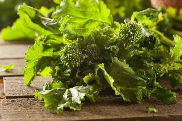 Growing Broccoli Rabe from Seed | ThriftyFun