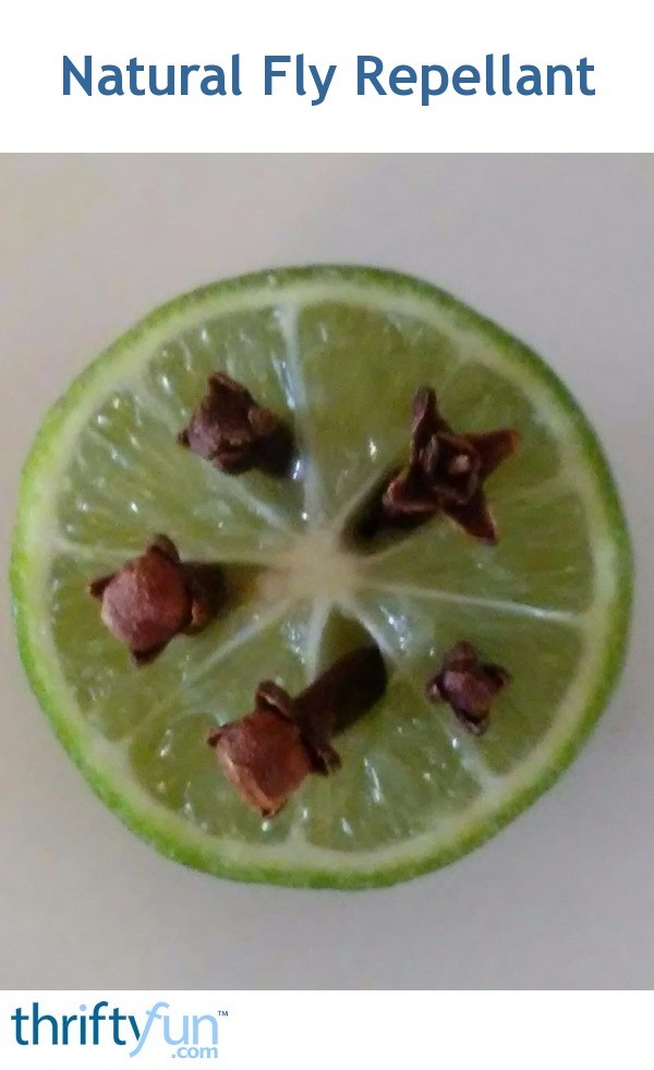 Natural Fly Repellant | ThriftyFun