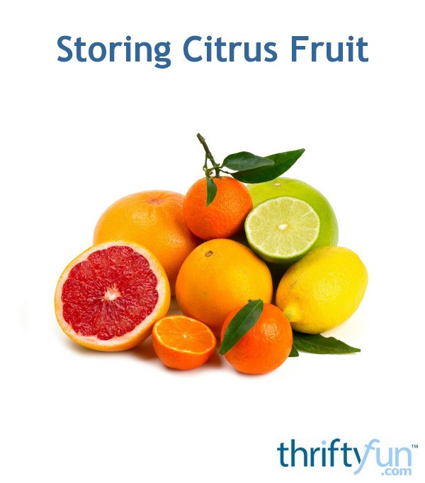 Storing Citrus Fruit | ThriftyFun