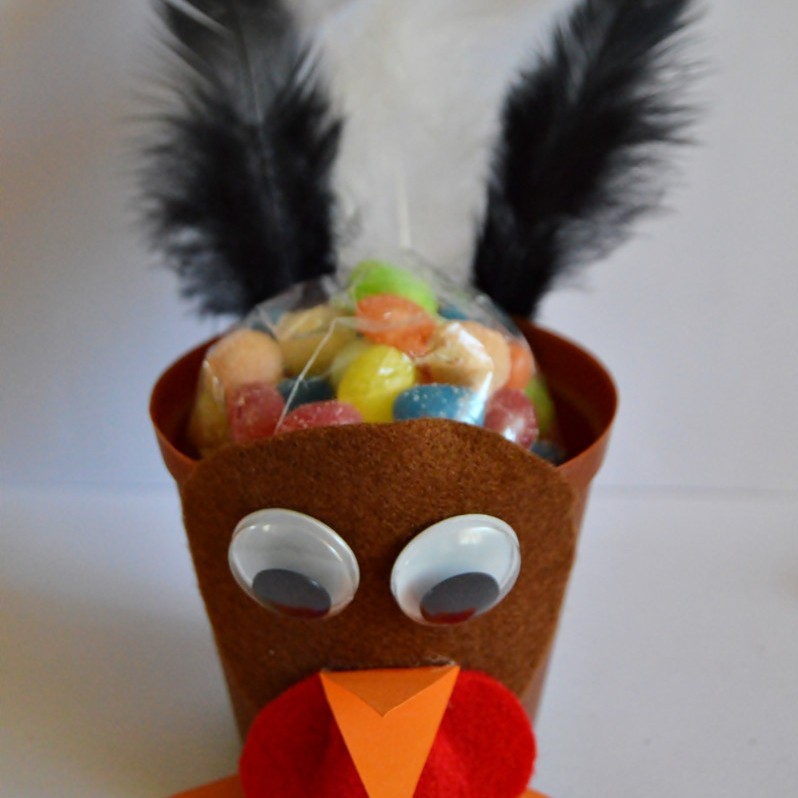 Goggle-Eyed Turkey Candy Box | ThriftyFun