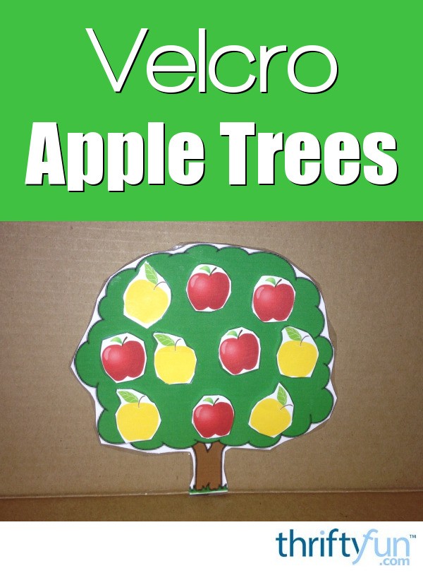 Printed Velcro Apple Trees | ThriftyFun