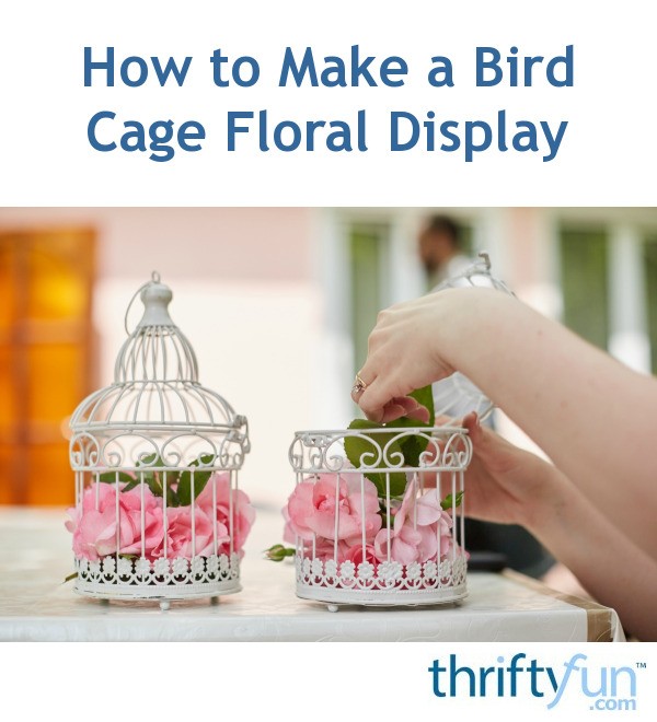 How to Make a Bird Cage Floral Display | ThriftyFun