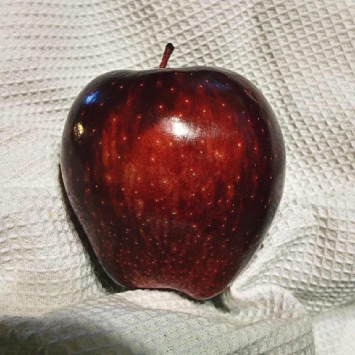 Washington State Red Delicious Apple | ThriftyFun