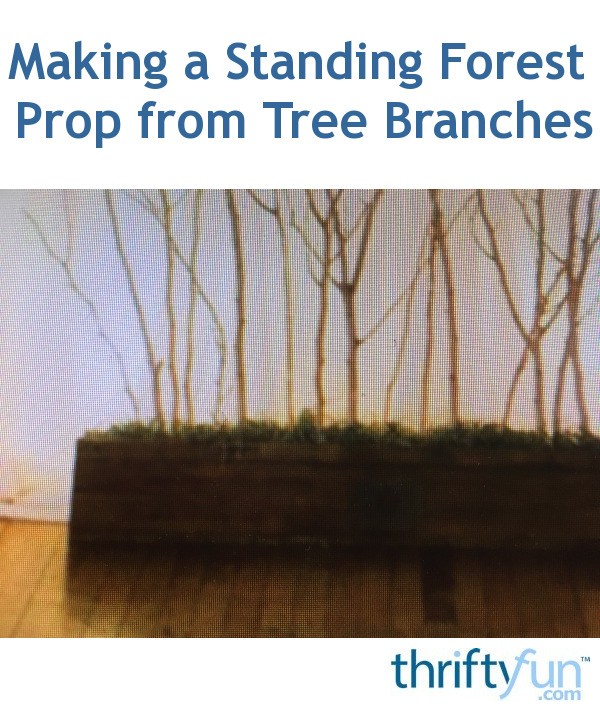 Making a Standing Forest Prop from Tree Branches? | ThriftyFun