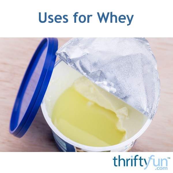 Uses for Whey | ThriftyFun