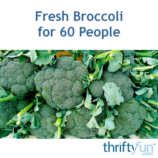 Fresh Broccoli for 60 People? | ThriftyFun