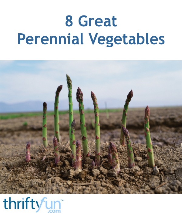 8 Great Perennial Vegetables | ThriftyFun