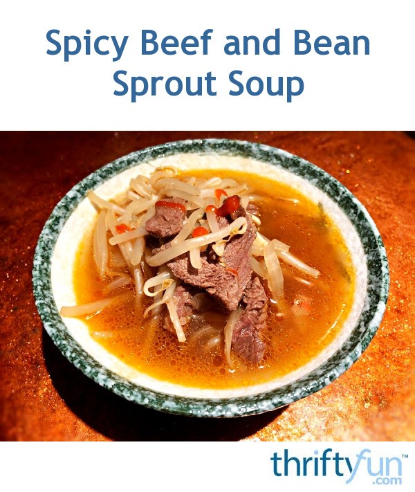Spicy Beef and Bean Sprout Soup | ThriftyFun
