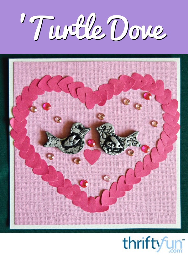 How to Make a Turtle Dove of Love Valentine Card | ThriftyFun
