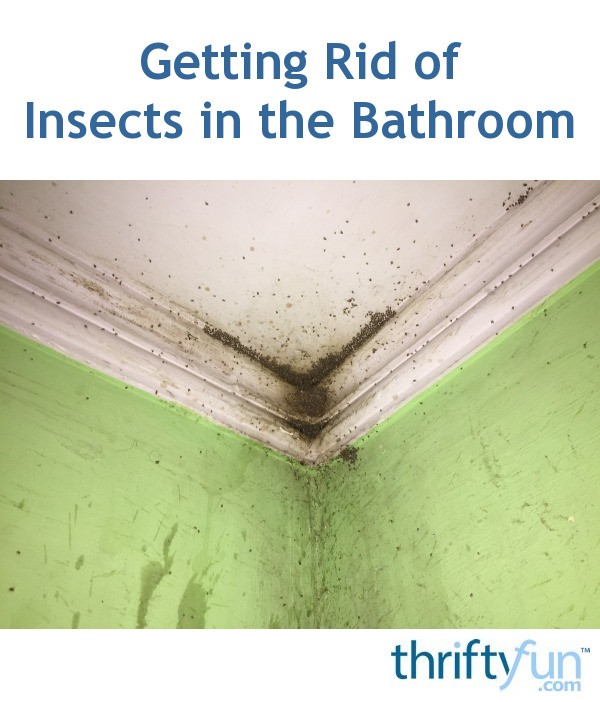 Getting Rid of Crawling Insects in the Bathroom? | ThriftyFun
