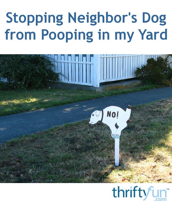 My Neighbors Are Placing Dog Poop in My Yard? | ThriftyFun