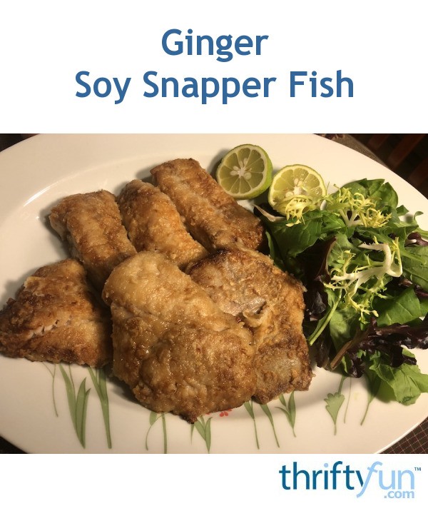Ginger Soy Snapper Fish | ThriftyFun