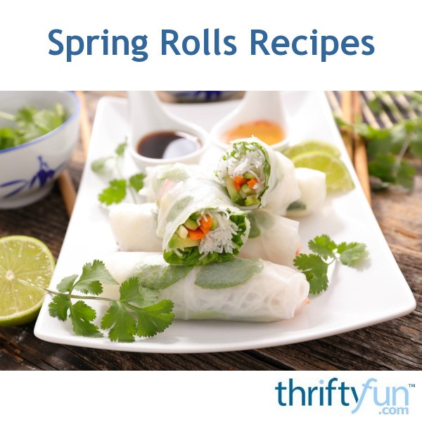 Spring Roll Recipes | ThriftyFun
