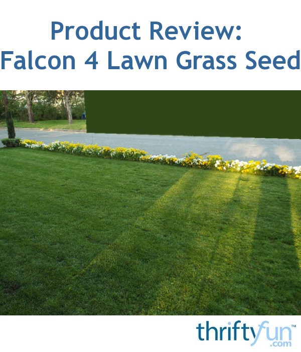 Product Review: Falcon 4 Lawn Grass Seed | ThriftyFun