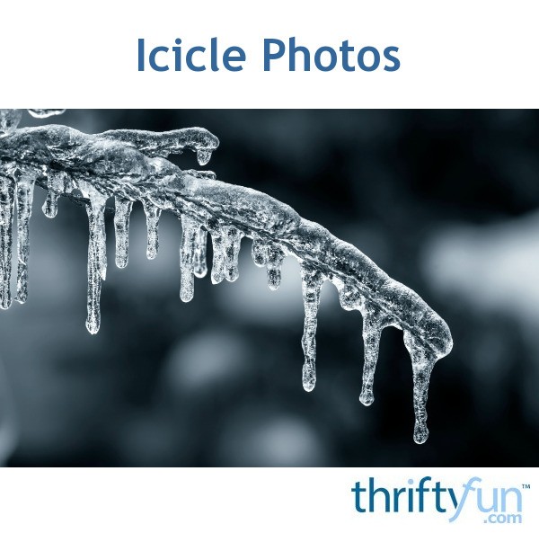Icicle Photos | ThriftyFun