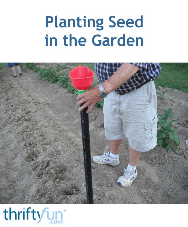 Planting Seed in the Garden | ThriftyFun