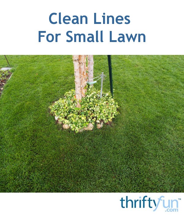 Clean Lines For Small Lawn | ThriftyFun