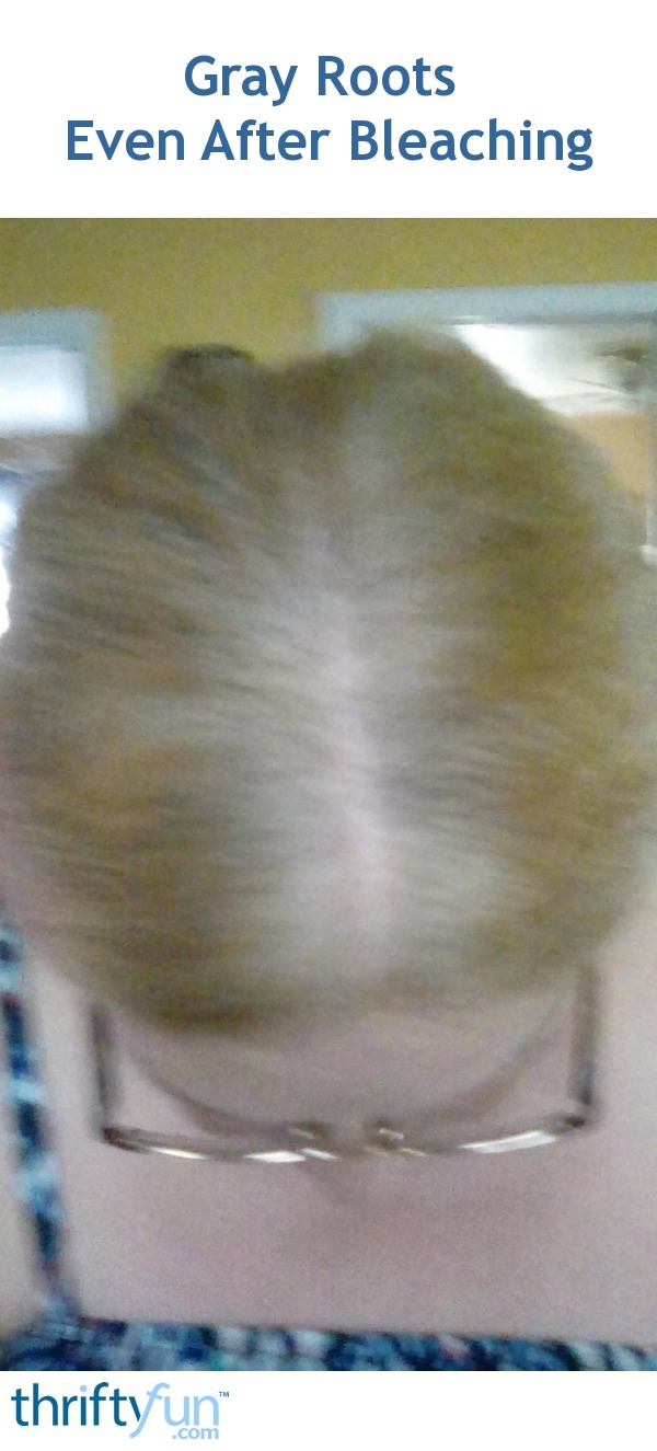 Gray Roots Even After Bleaching? | ThriftyFun