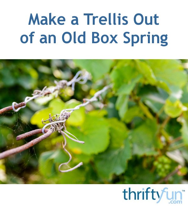 Make a Trellis Out of an Old Box Spring | ThriftyFun