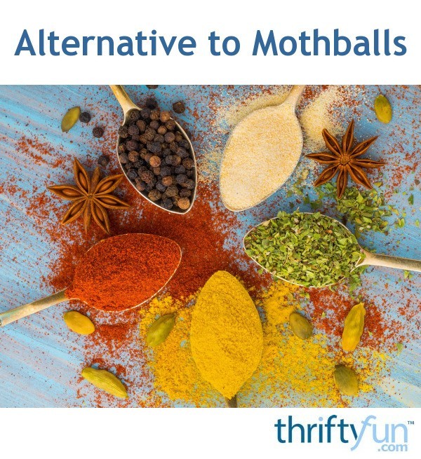 Spices as an Alternative to Mothballs | ThriftyFun