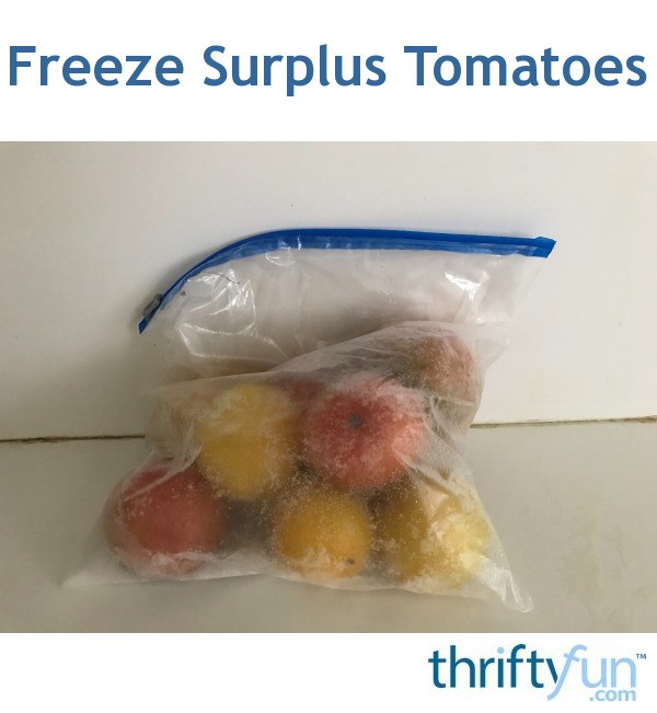 Freeze Surplus Tomatoes | ThriftyFun