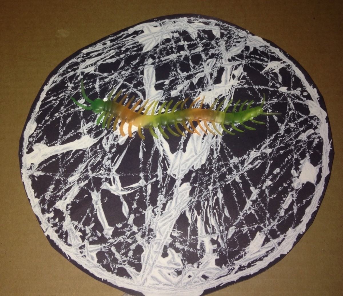 Making a Marble Painted Paper Spider Web | ThriftyFun