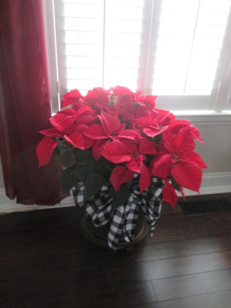 Adding Ribbon Flair To Planters Thriftyfun