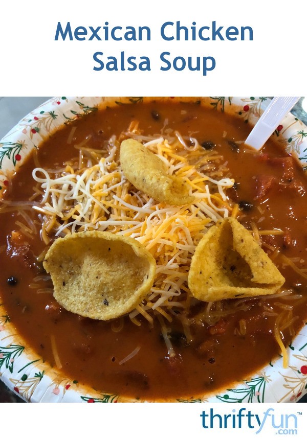 Mexican Chicken Salsa Soup | ThriftyFun