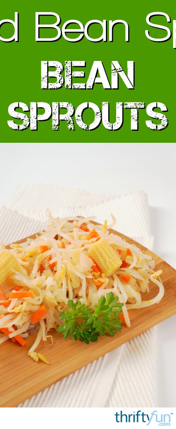 Pickled Bean Sprouts | ThriftyFun