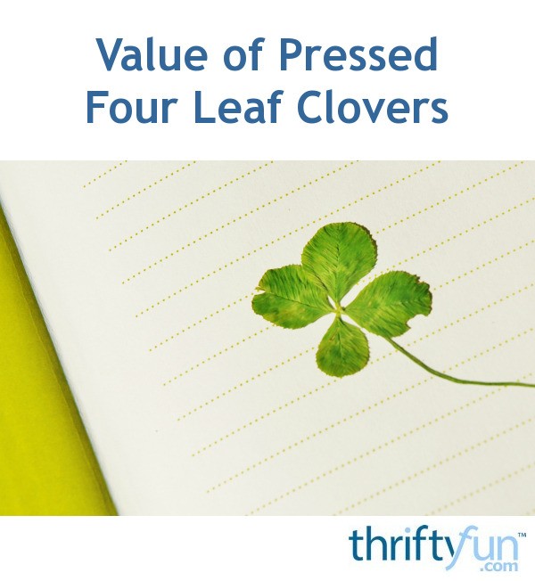 Value of Pressed Four Leaf Clovers? | ThriftyFun
