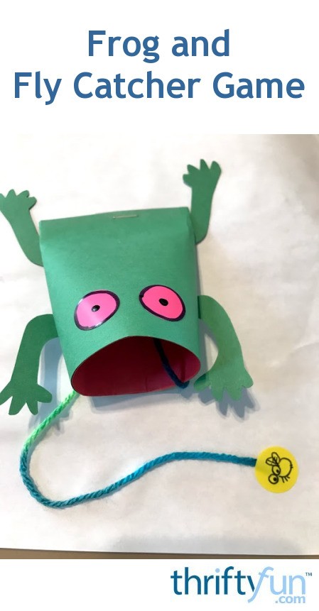How to Make a Frog and Fly Catcher Game | ThriftyFun
