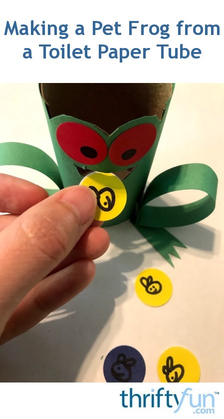Making a Pet Frog from a Toilet Paper Tube | ThriftyFun