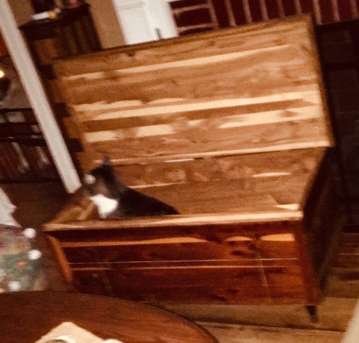 Age of a Murphy Cedar Chest? | ThriftyFun